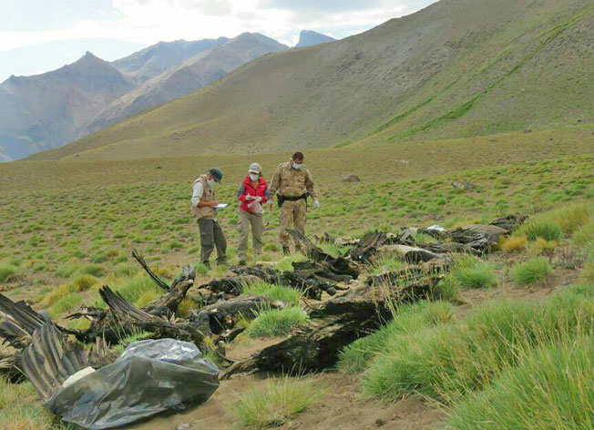 Andean Condors Poisoned in Argentina: 34 Birds Found Dead - Avian Report