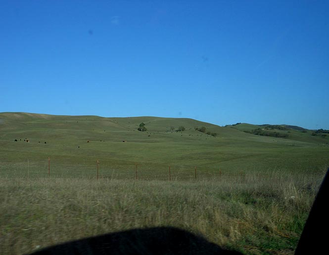 Northern Temperate Grasslands - Avian Report