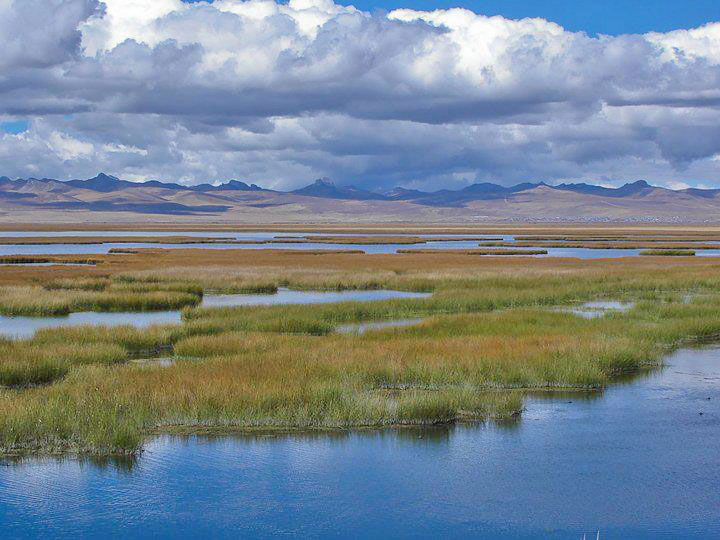 The Ancient Lake Junín and its Endemic Grebe - Avian Report