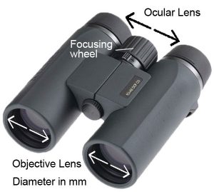 Understanding Magnification Power and Aperture in Binoculars - Avian Report