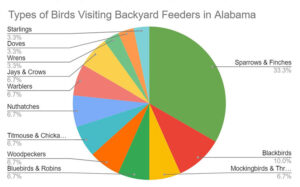 Identify 30 Species of Birds that Visit Backyard Feeders in Alabama