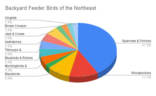 41 Backyard Feeders Birds of the Northeast: The Definitive Guide