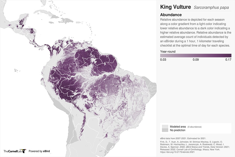 Where Does the King Vulture Live?