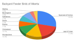 Backyard Feeder Birds in Alberta: The Definitive Guide