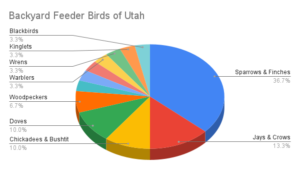 Identify 30 Bird Species that Visit Backyard Feeders in Utah
