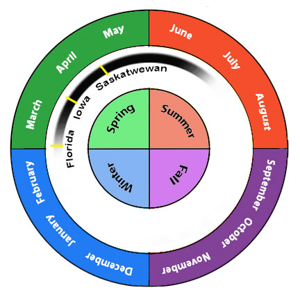 American Kestrel Breeding Season: Courtship Display, and Mating - Avian ...