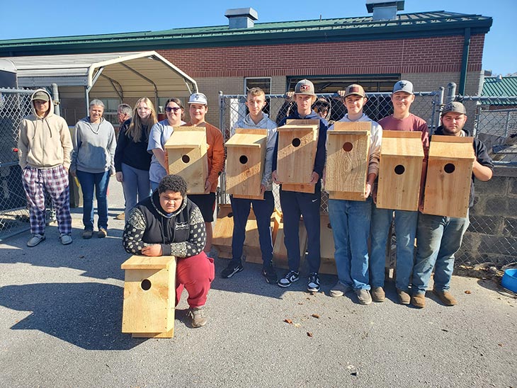 Unveiling the key Elements of the American Kestrel Habitat - Avian Report