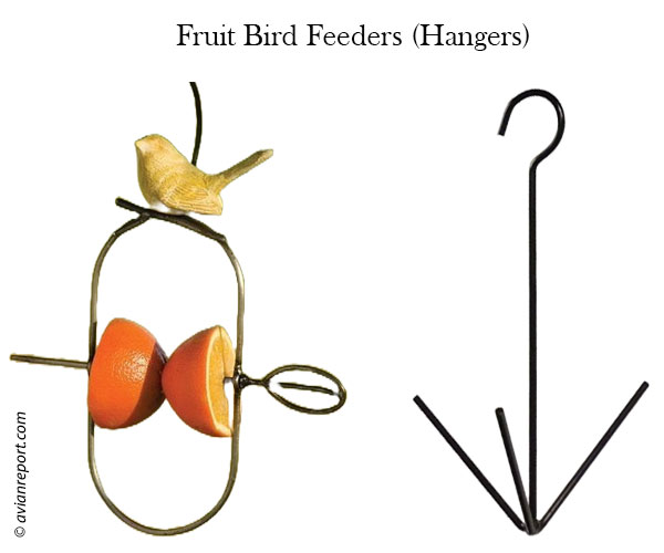 Fruit & Jelly Bird Feeders: Attracting Birds with a Sweet Beak - Avian ...