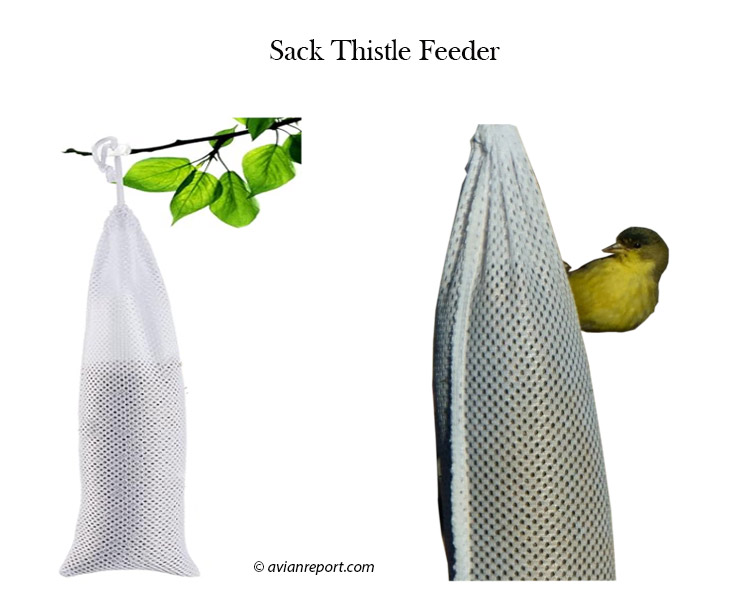 All about Thistle Bird Feeders: Also known as Nyjer Feeders - Avian Report