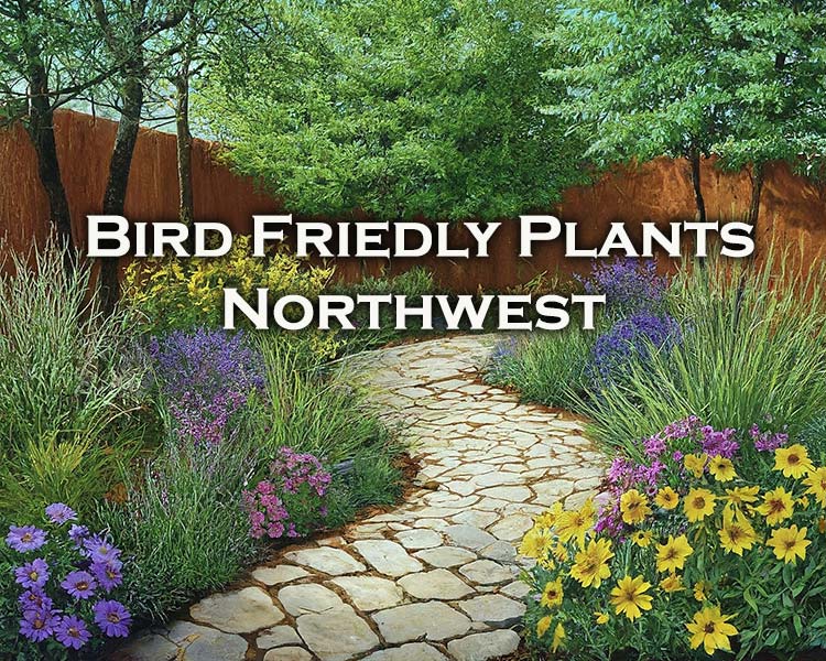 Northwest Native Gardens