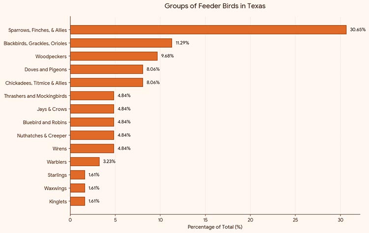 Identify 62 Bird Species that Visit Backyard Bird Feeders in Texas ...