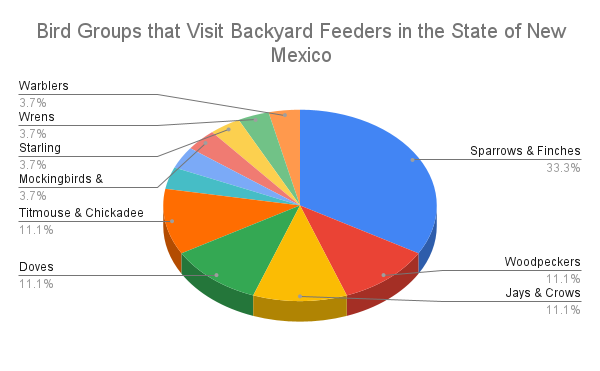 Identify 27 Bird Species Visiting Backyard Feeders in New Mexico ...